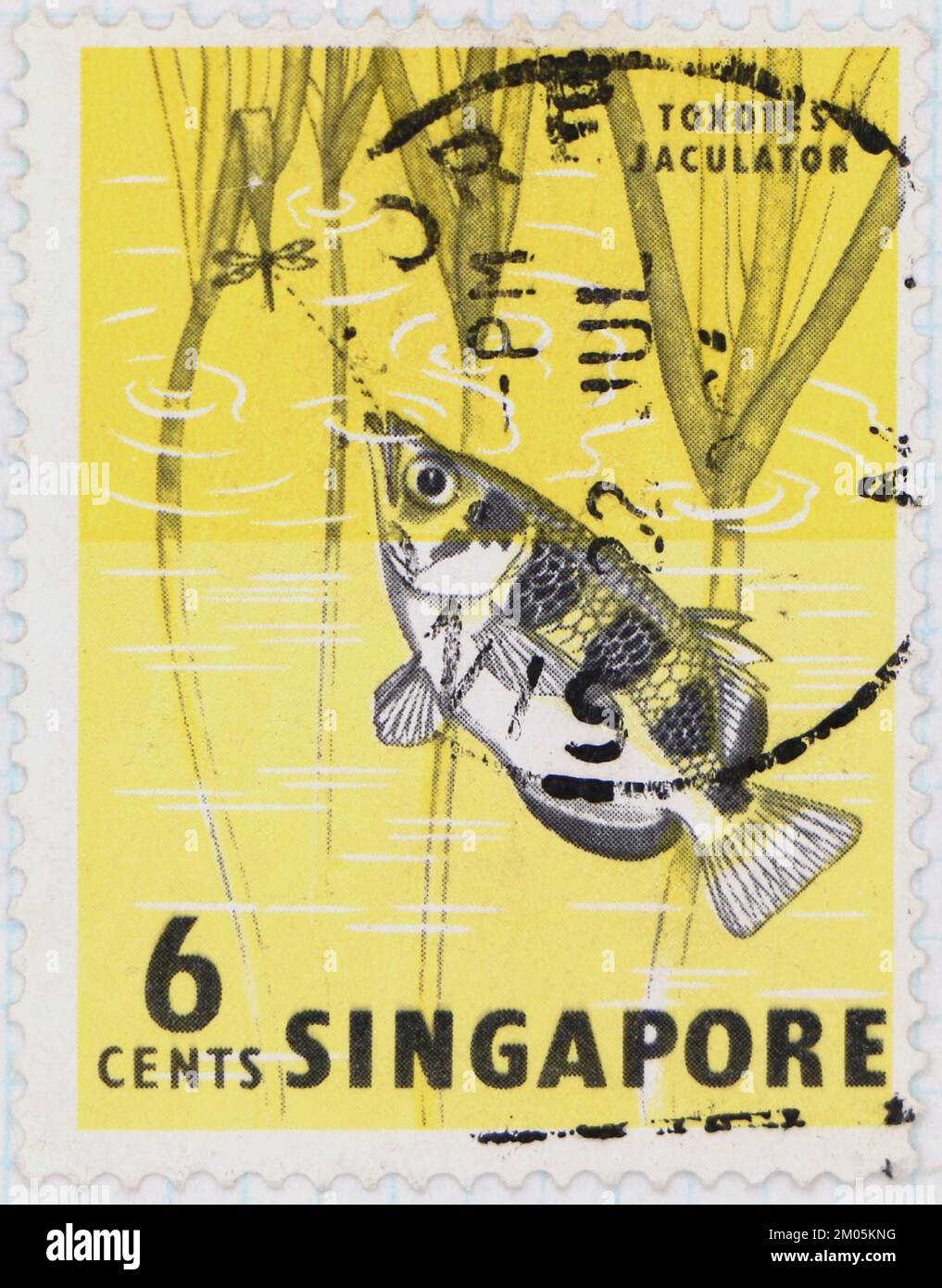 Photo d'un timbre-poste de la série 1962 de l'Archerfish Banded Toxotes ...