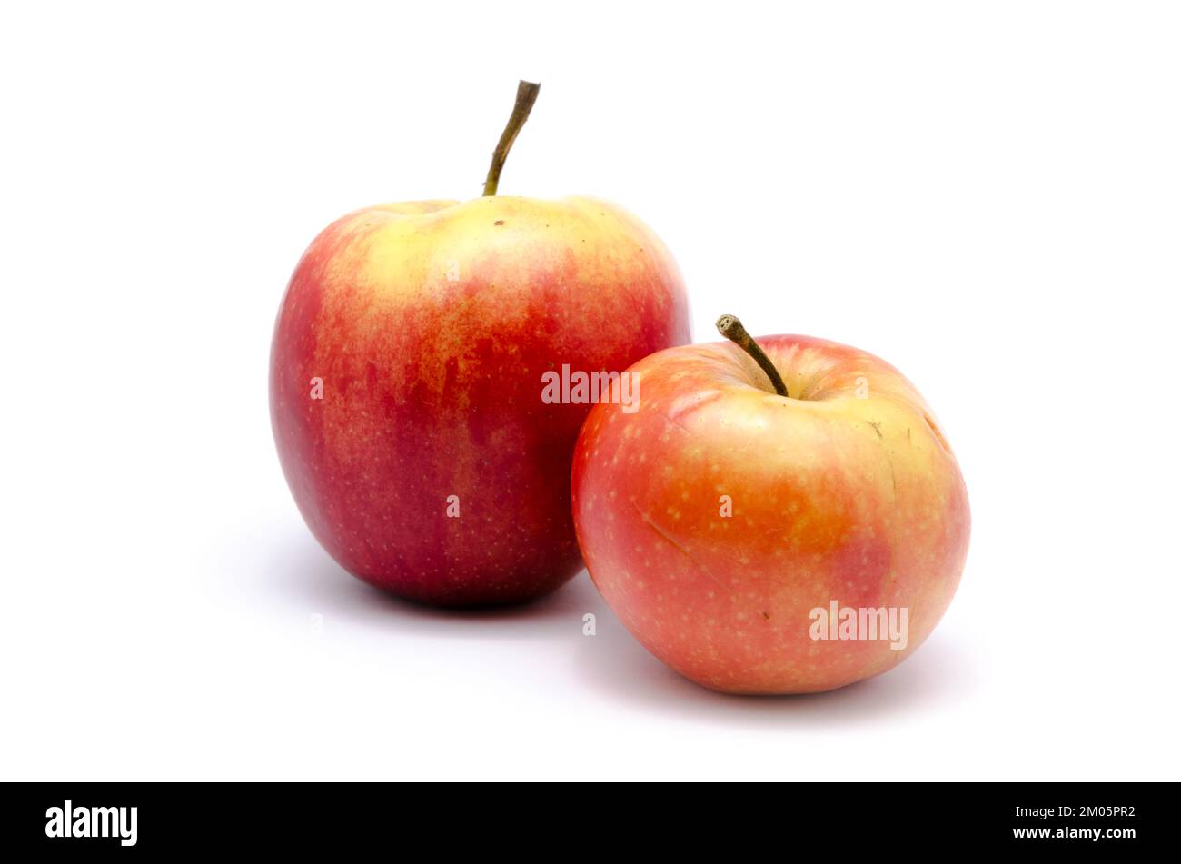 Deux pommes avec espace de copie Banque de photographies et d’images à ...