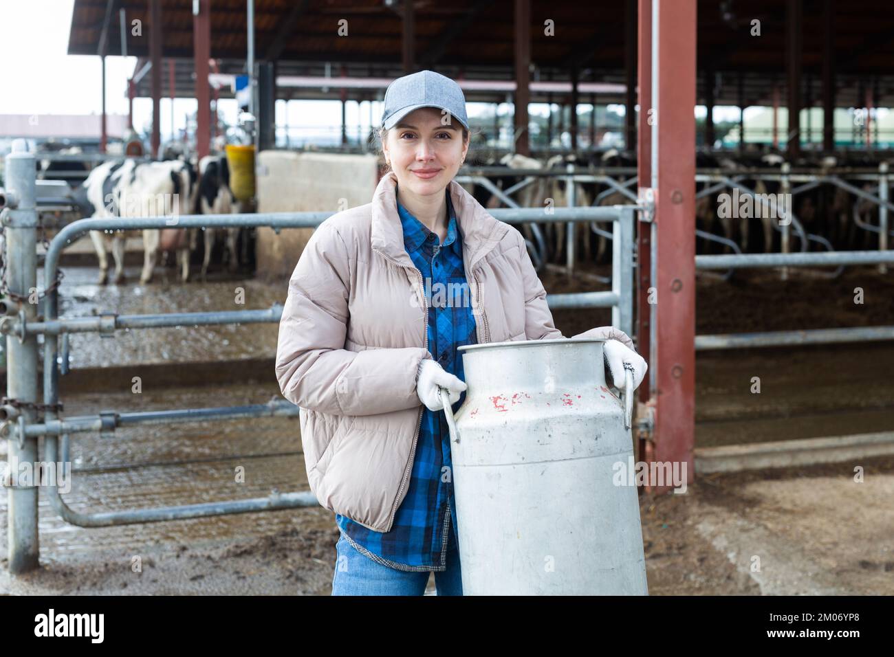Femme, vache laitière, étable Banque de photographies et d’images à haute résolution - Page 4 ...