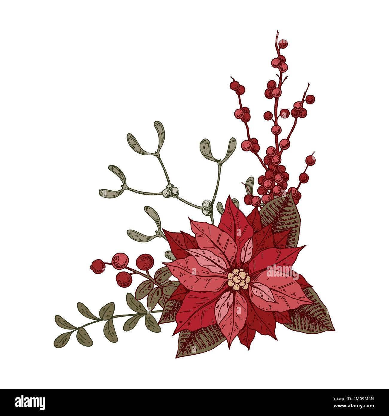 Composition de botanique de Noël avec fleur de poinsettia et GUI ...