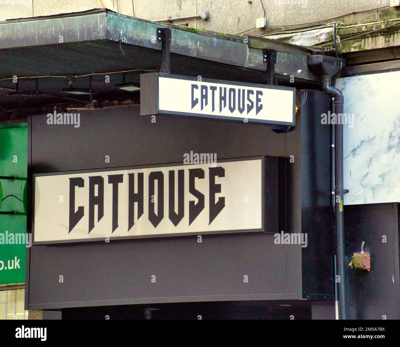 Glasgow cathouse Banque de photographies et d’images à haute résolution - Alamy