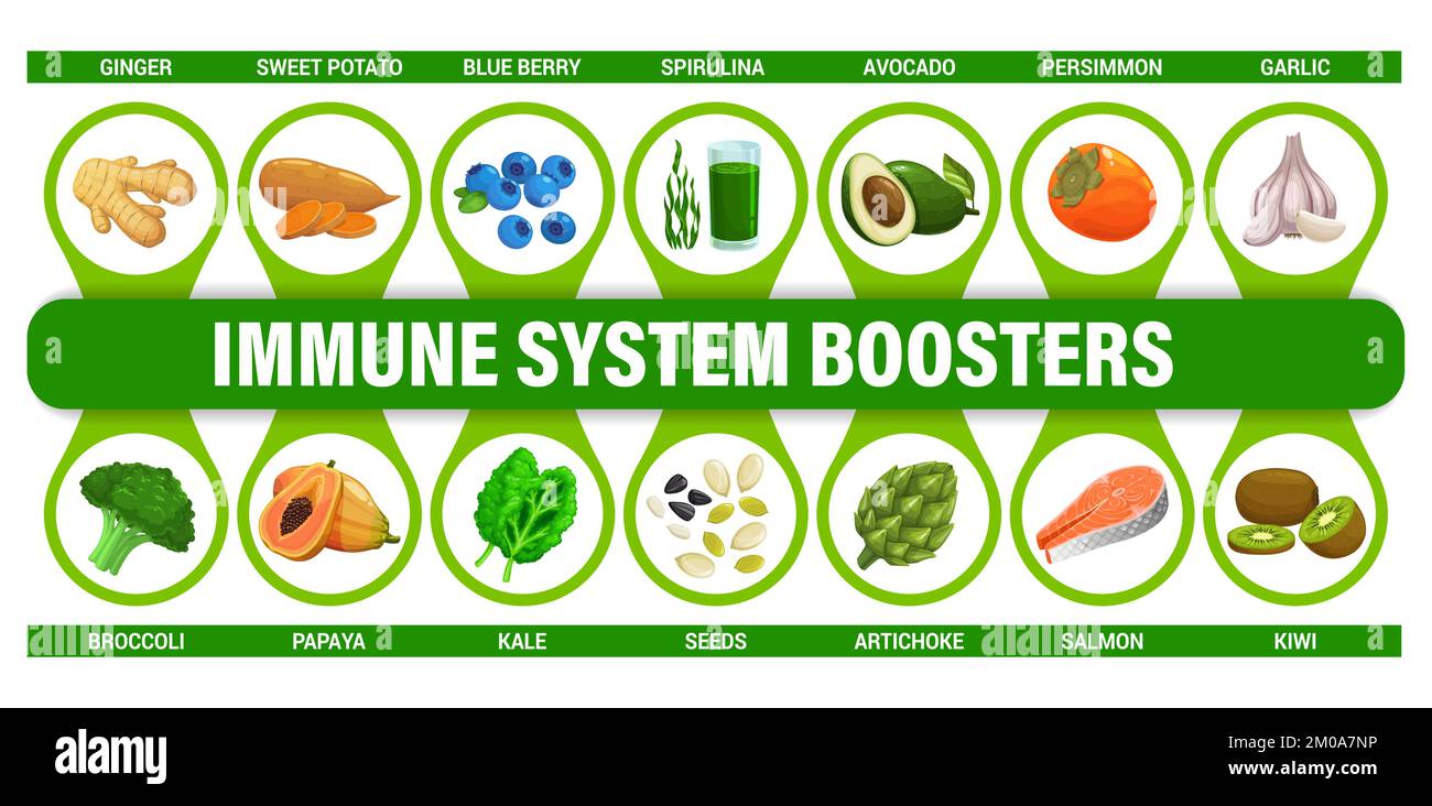 Tableau infographique des boosters du système immunitaire. Infographies ...