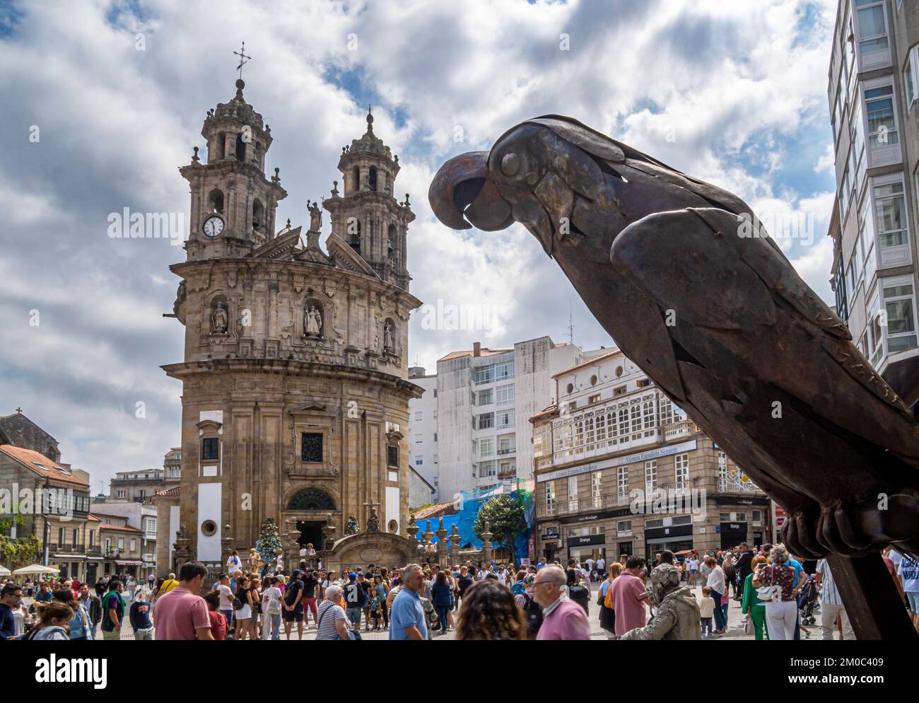 Perroquet ravachol Banque de photographies et d’images à haute ...