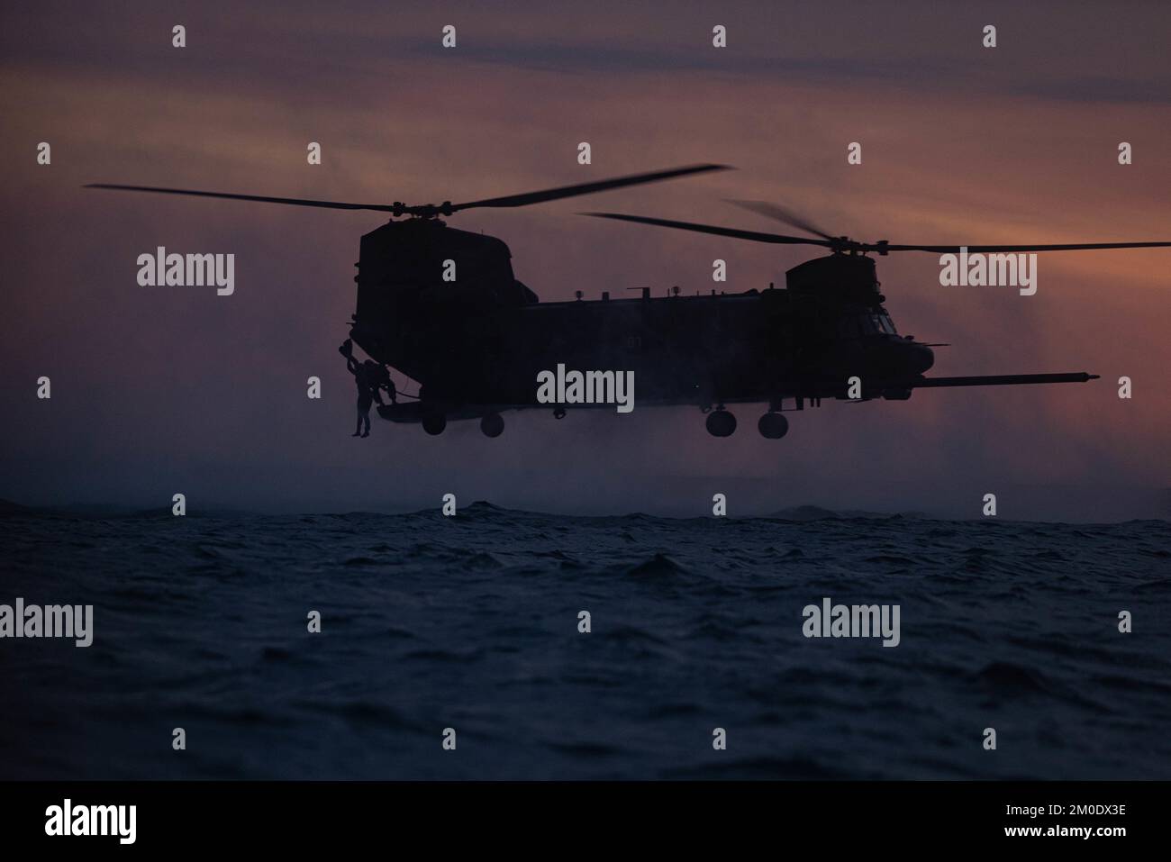 A ÉTATS-UNIS Marine avec Bravo Company, 1st Bataillon de reconnaissance ...