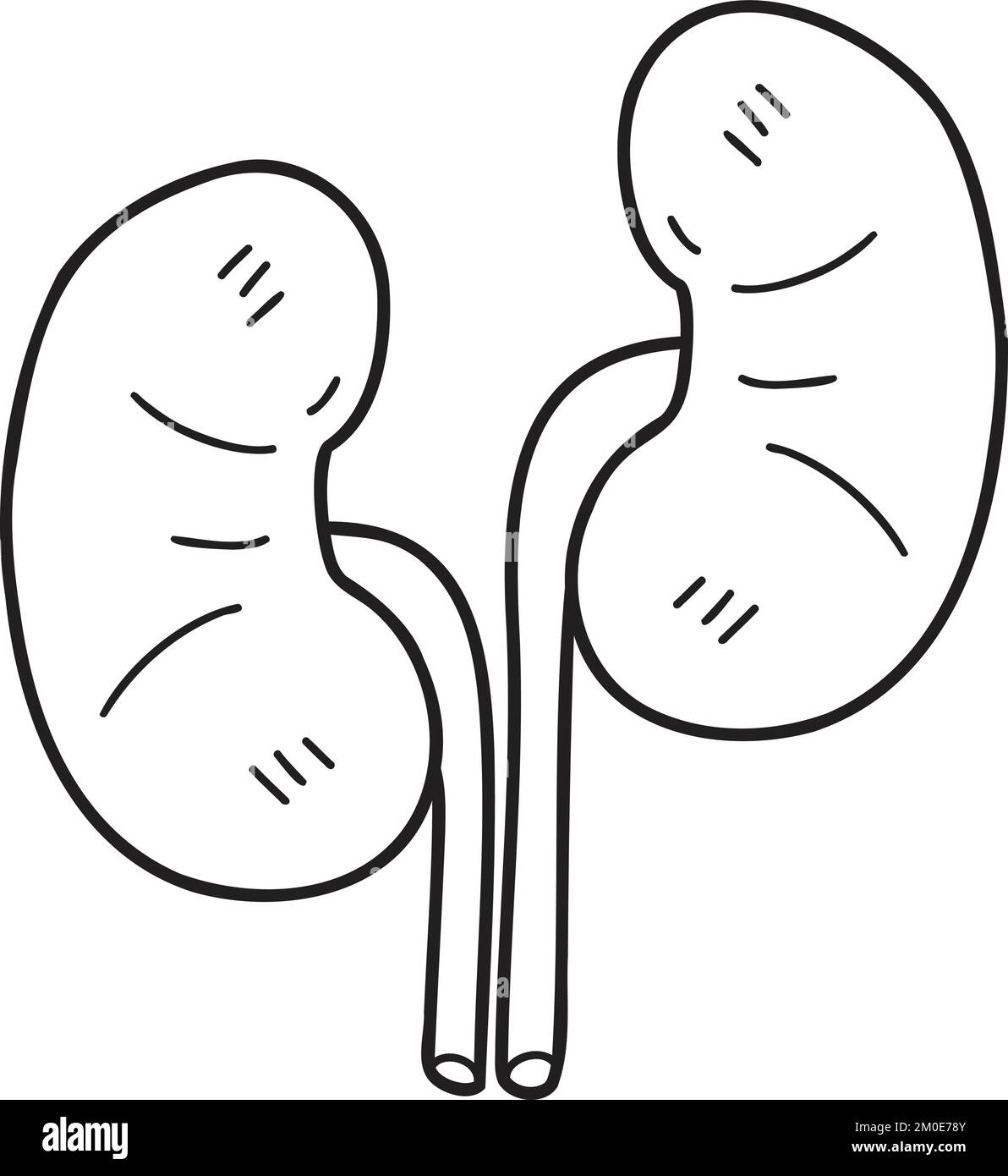 Structure rein Banque d'images vectorielles - Alamy