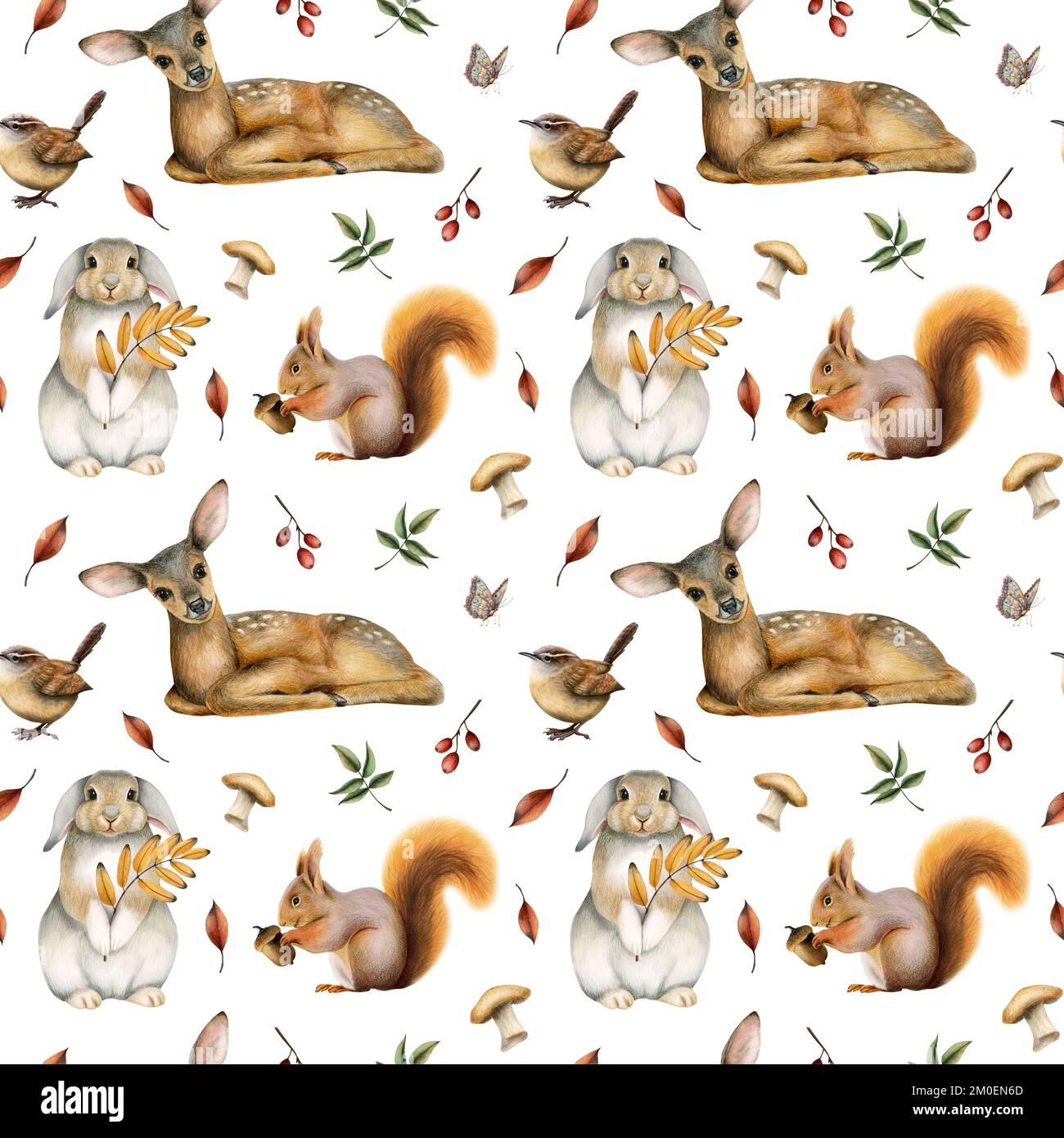 Animaux de la forêt dessin a imprimer Banque de photographies et d ...