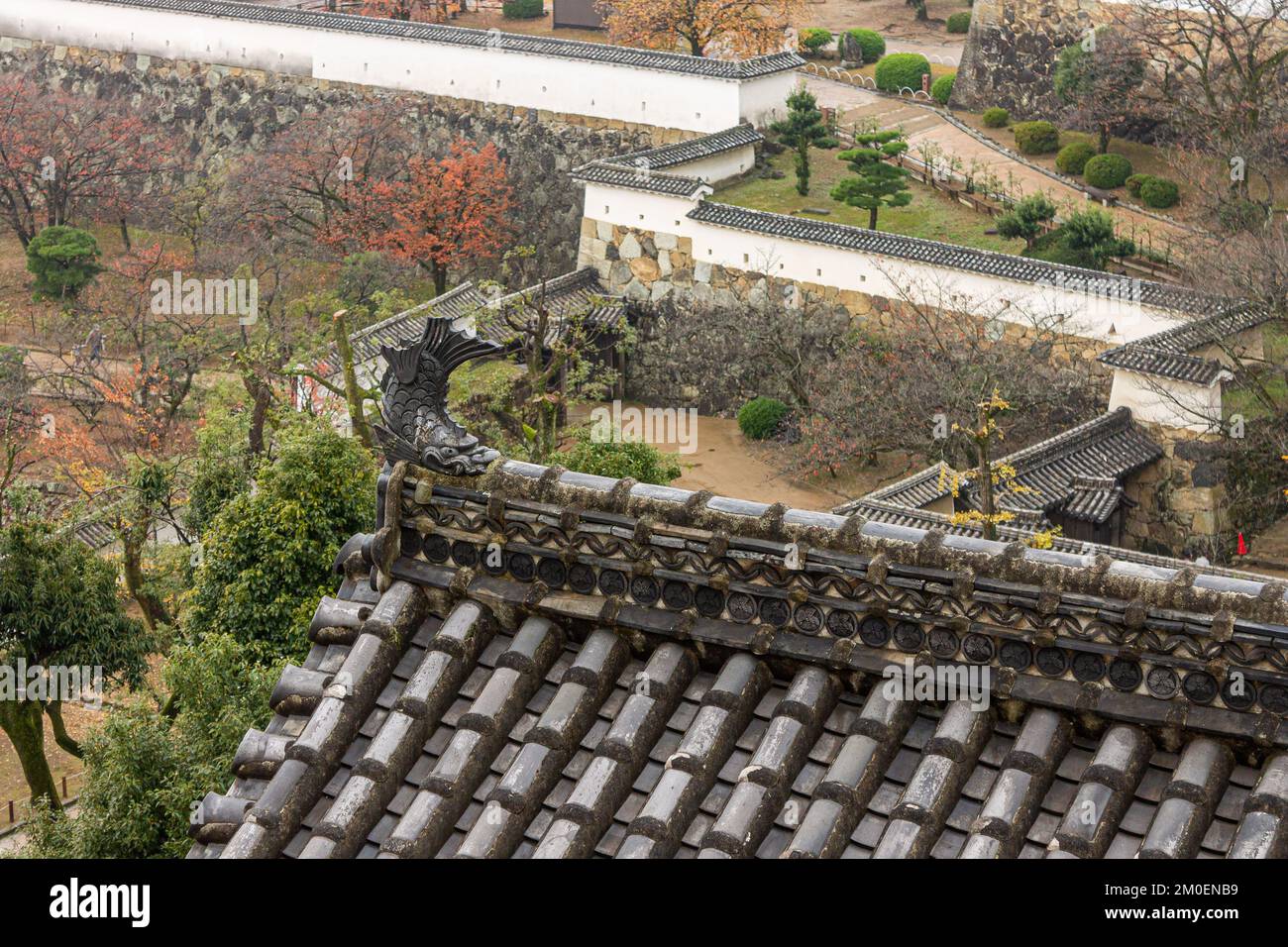 Himeji, Japon. Un poisson mythique à tête de tigre appelé shachi sur le ...