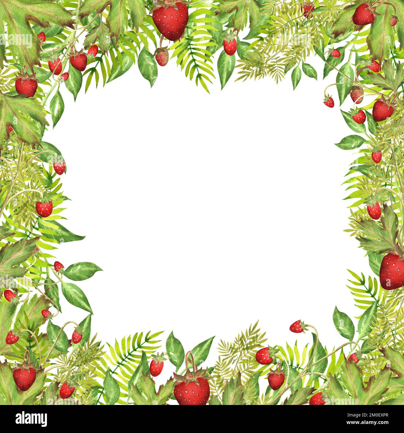 Cadre fraise Banque de photographies et d’images à haute résolution - Alamy