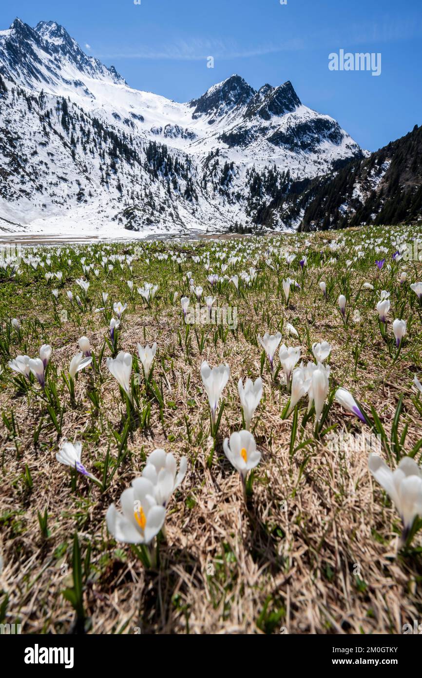 Full range Banque de photographies et d’images à haute résolution - Alamy