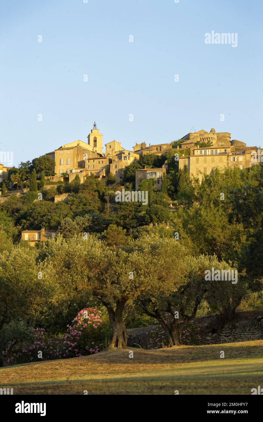 France, Vaucluse, Réserve naturelle régionale du Luberon (parc naturel ...
