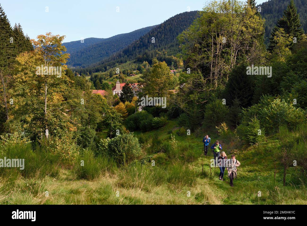 France, Vosges, le Valtin, randonnée dans la vallée de Valtin dans la ...