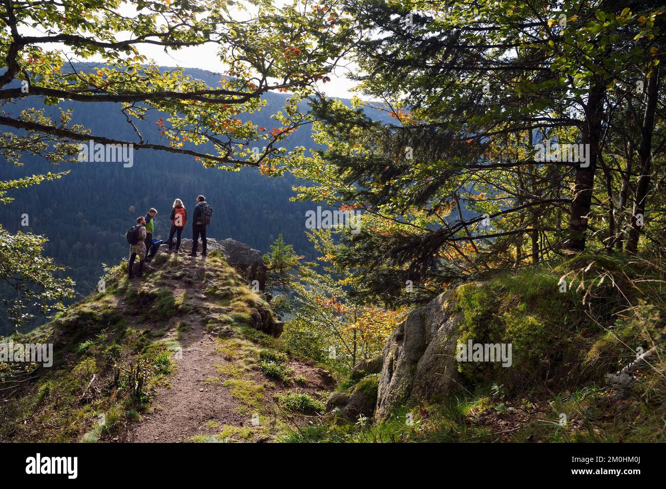 France, Vosges, le Valtin, randonnée à un endroit appelé les roches qui ...