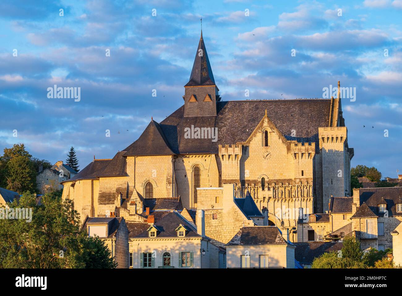 France, Indre et Loire, Vallée de la Loire classée au Patrimoine ...