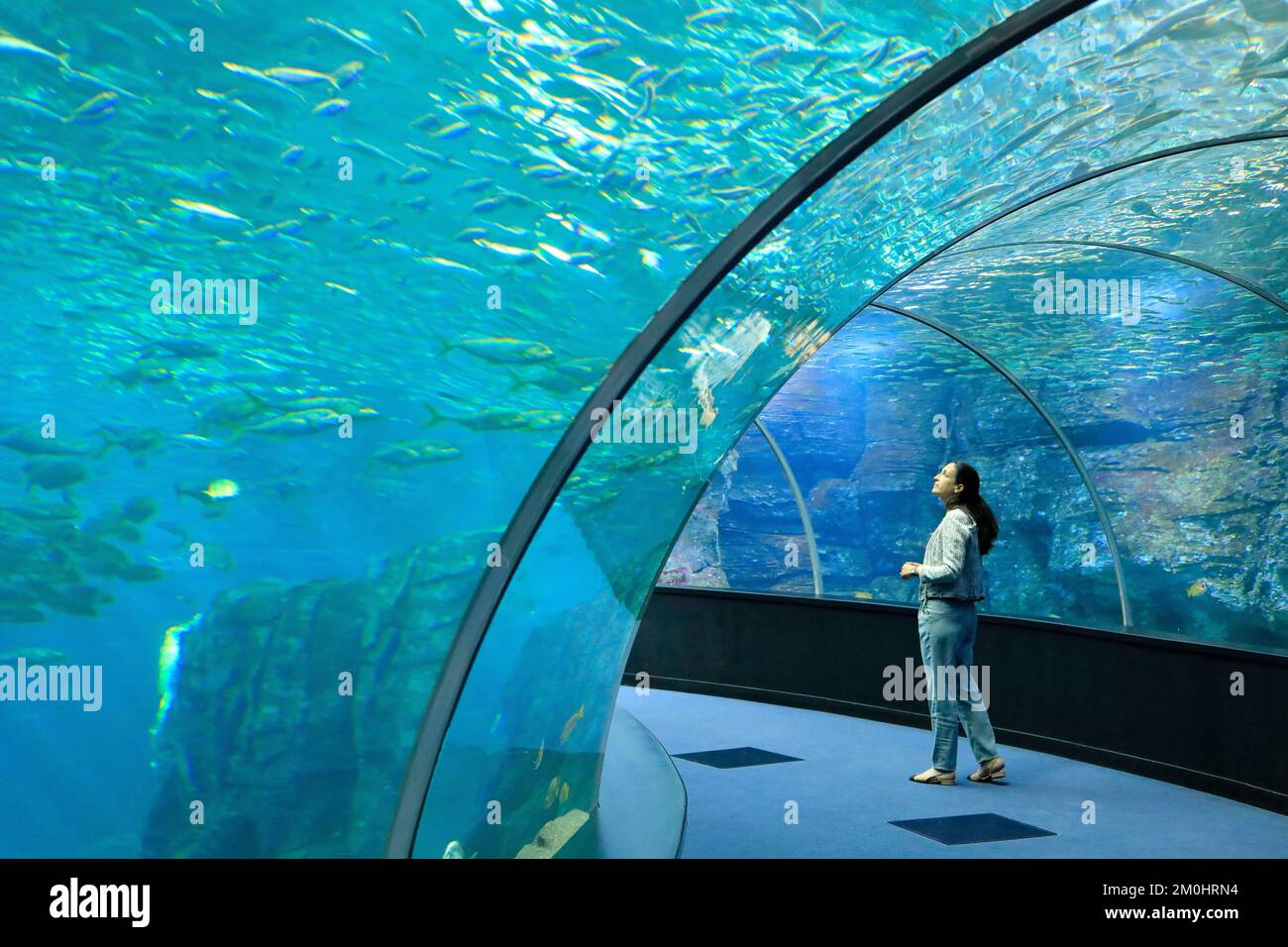 France, pas de Calais, Côte d'Opale, Boulogne-sur-Mer, Nausicaa (Centre ...