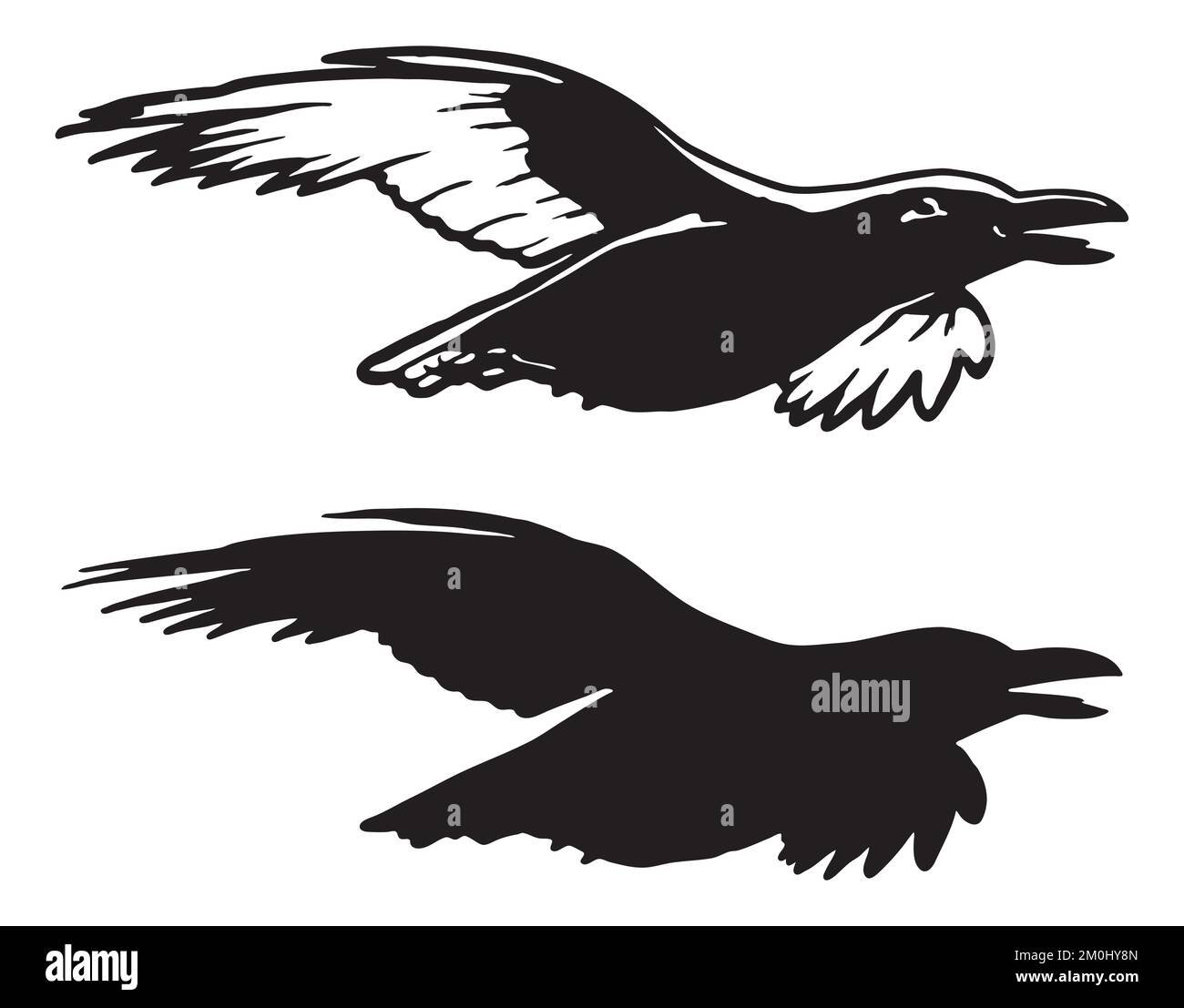 Dessin oiseau noir volant Banque d'images vectorielles - Alamy