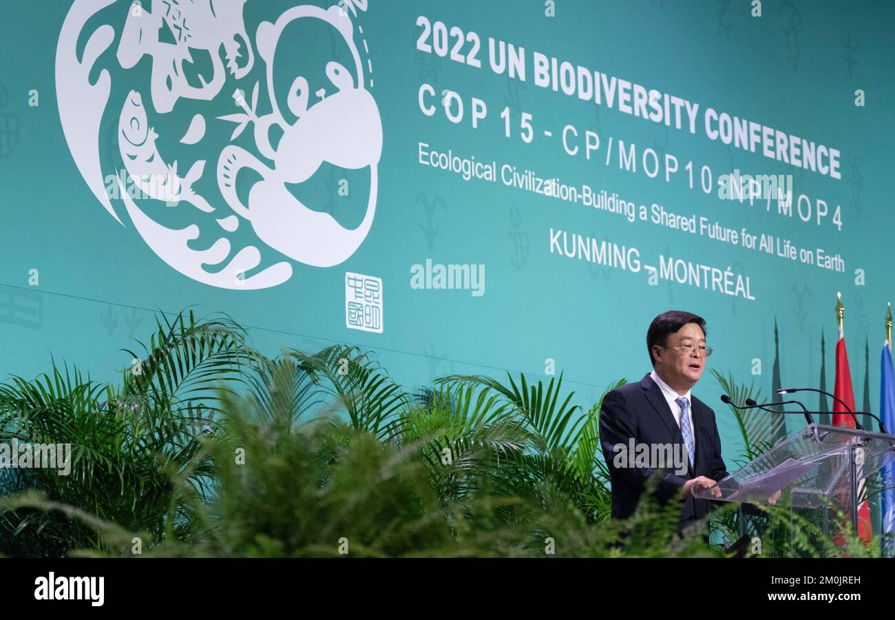 Huang Runqiu, ministre chinois de l'écologie et de l'environnement ...