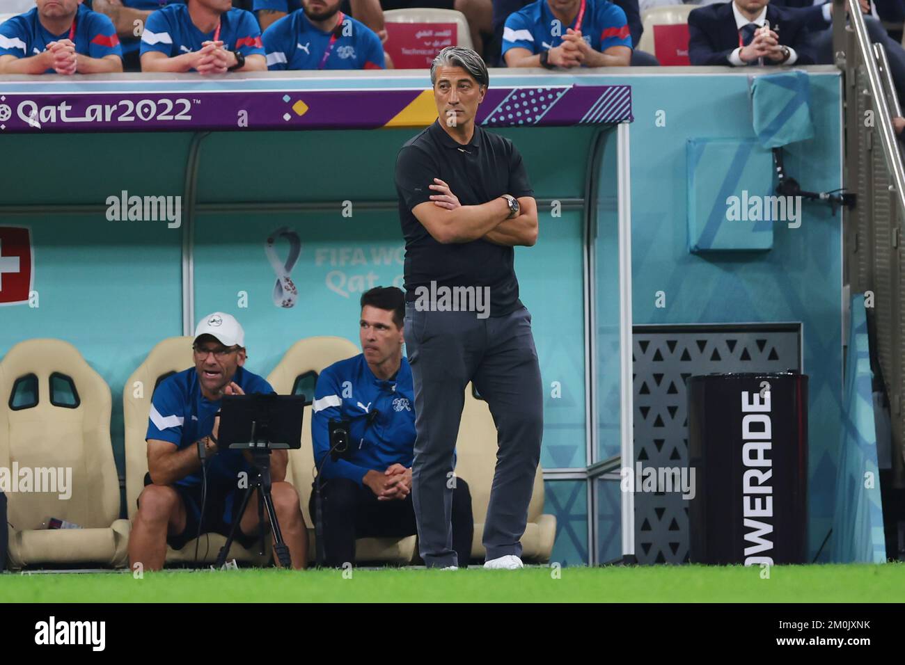 Lusail, Qatar. 6th décembre 2022. Murat Yakin entraîneur-chef (SUI ...