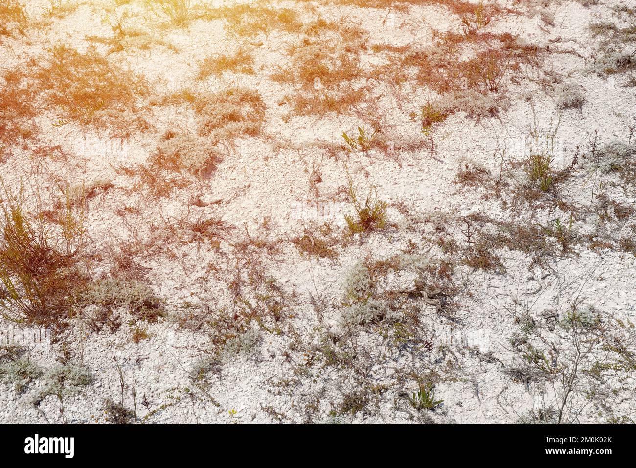 Carrière de calcaire d'extraction de craie. Surface de craie d ...