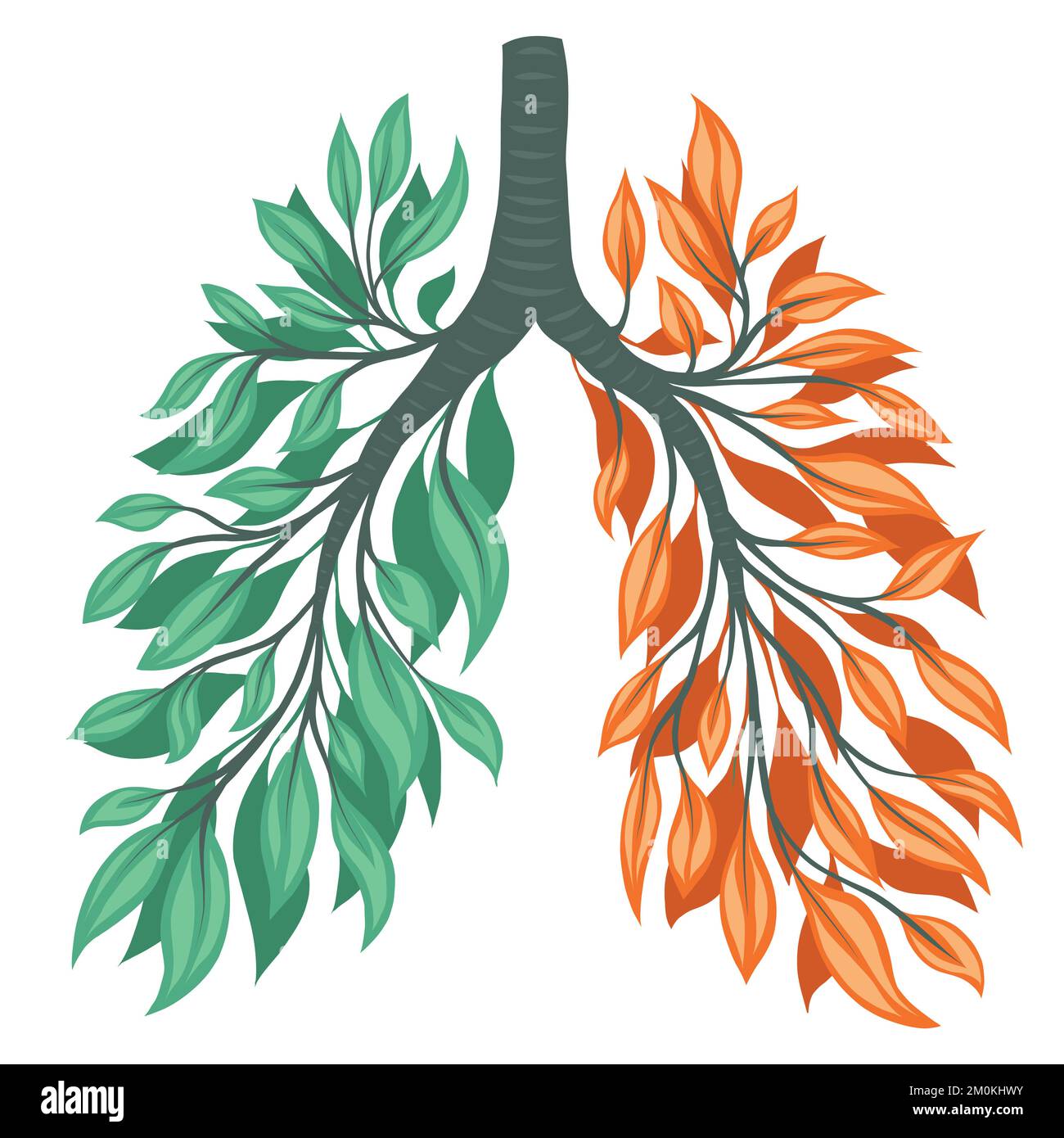 Illustration vectorielle des poumons humains provenant de feuilles et ...