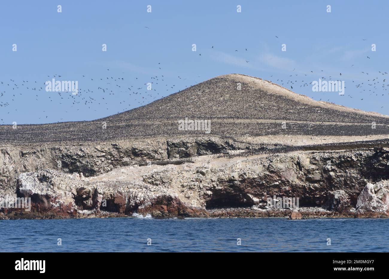 Des milliers d'oiseaux de mer peuvent être vus sur les îles Ballestas ...
