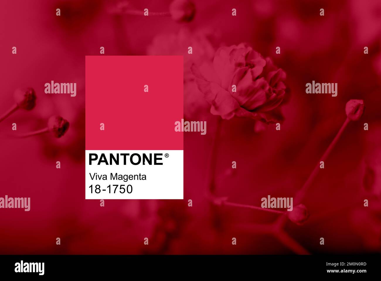 Pantone 2023 Banque de photographies et d’images à haute résolution - Alamy
