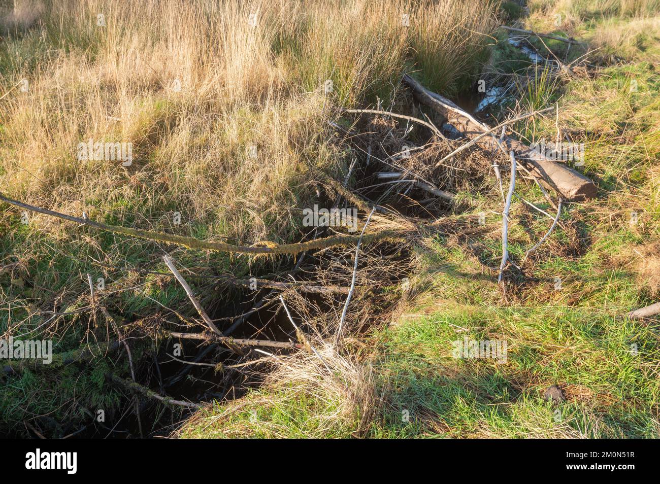 Bryn deilos Banque de photographies et d’images à haute résolution - Alamy
