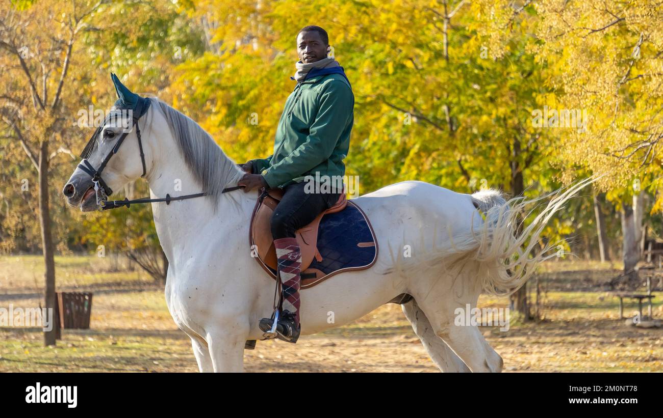 Homme monté sur un cheval blanc Banque de photographies et d’images à ...
