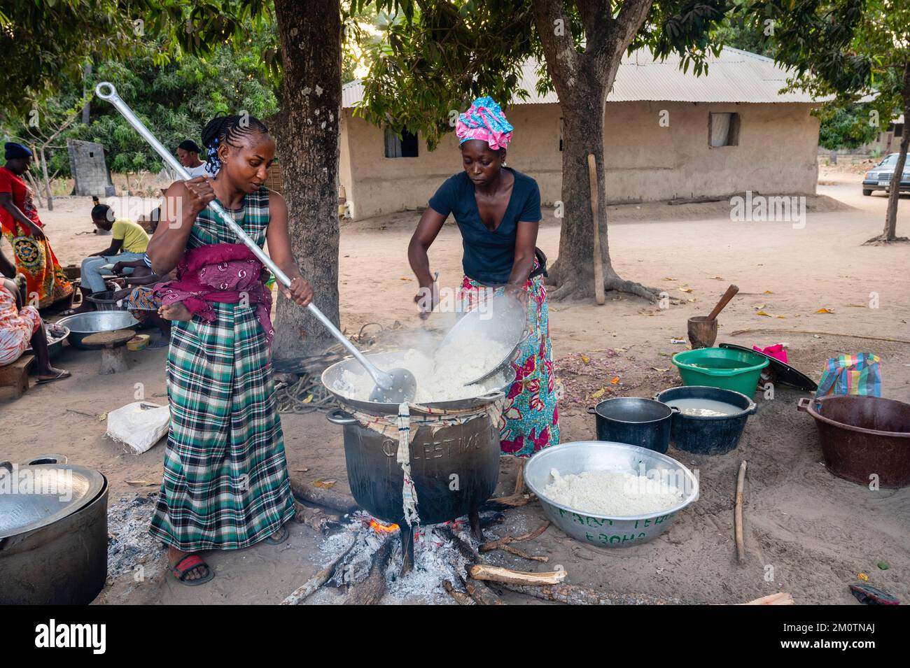 Riz casamance senegal Banque de photographies et d’images à haute ...