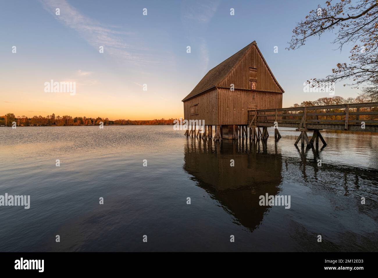Avec 28 hectares, le Hausteich près de Plothen est le plus grand étang ...