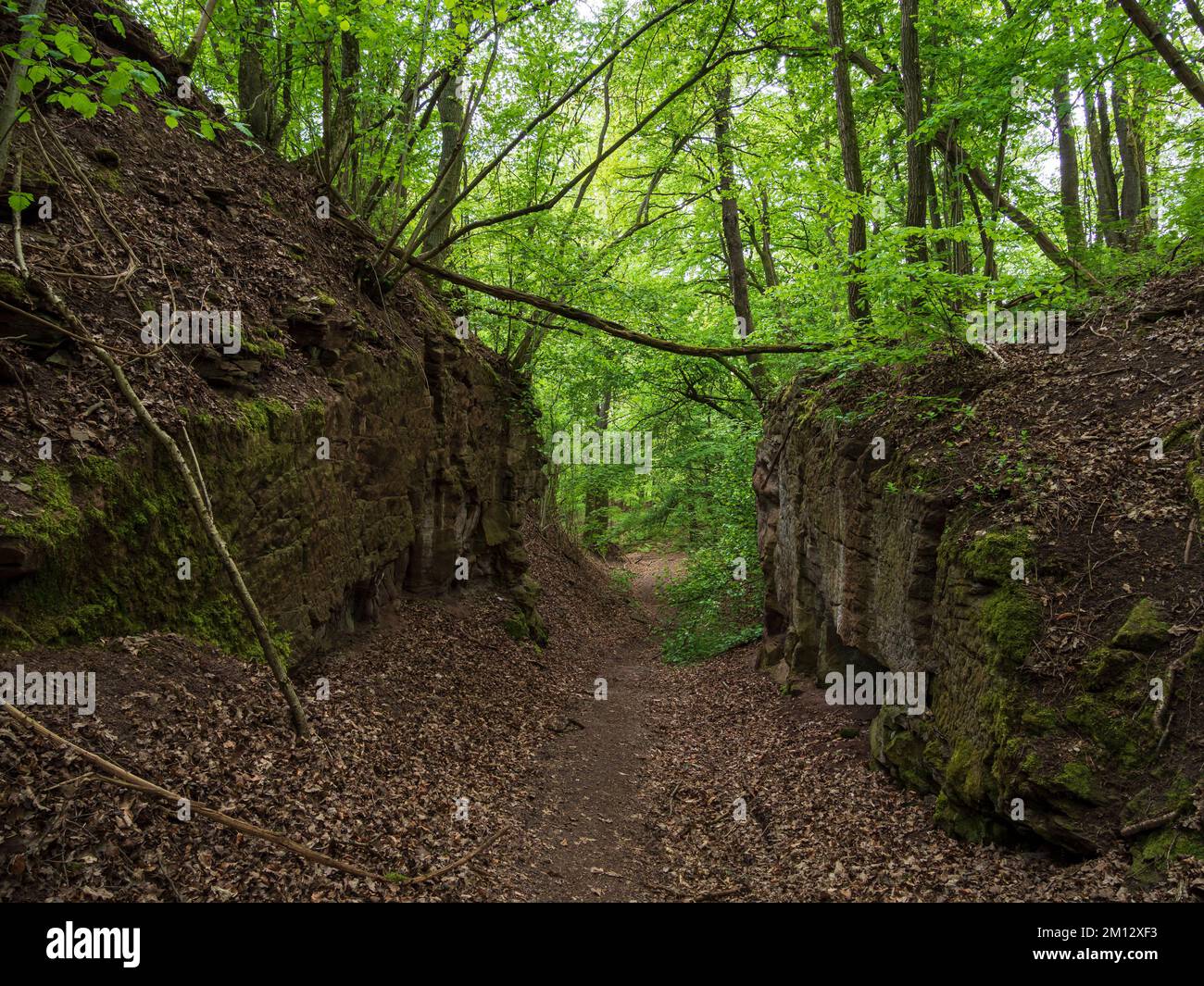 Ancien chemin creux avec passage de roche près d'Unfinden dans la ...