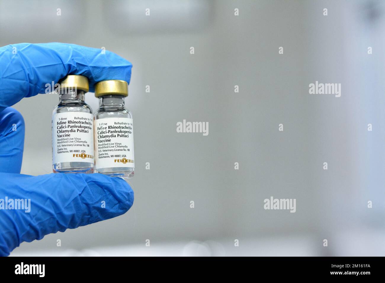 Le Caire, l'Egypte, 8 décembre 2022: Felocell 4, virus vivant atténué ...