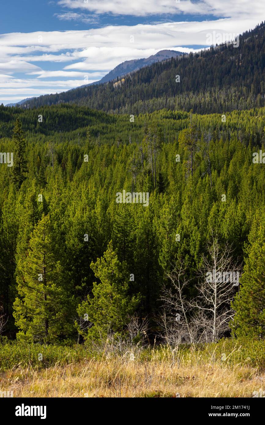 Sentier du lac bradley Banque de photographies et d’images à haute ...