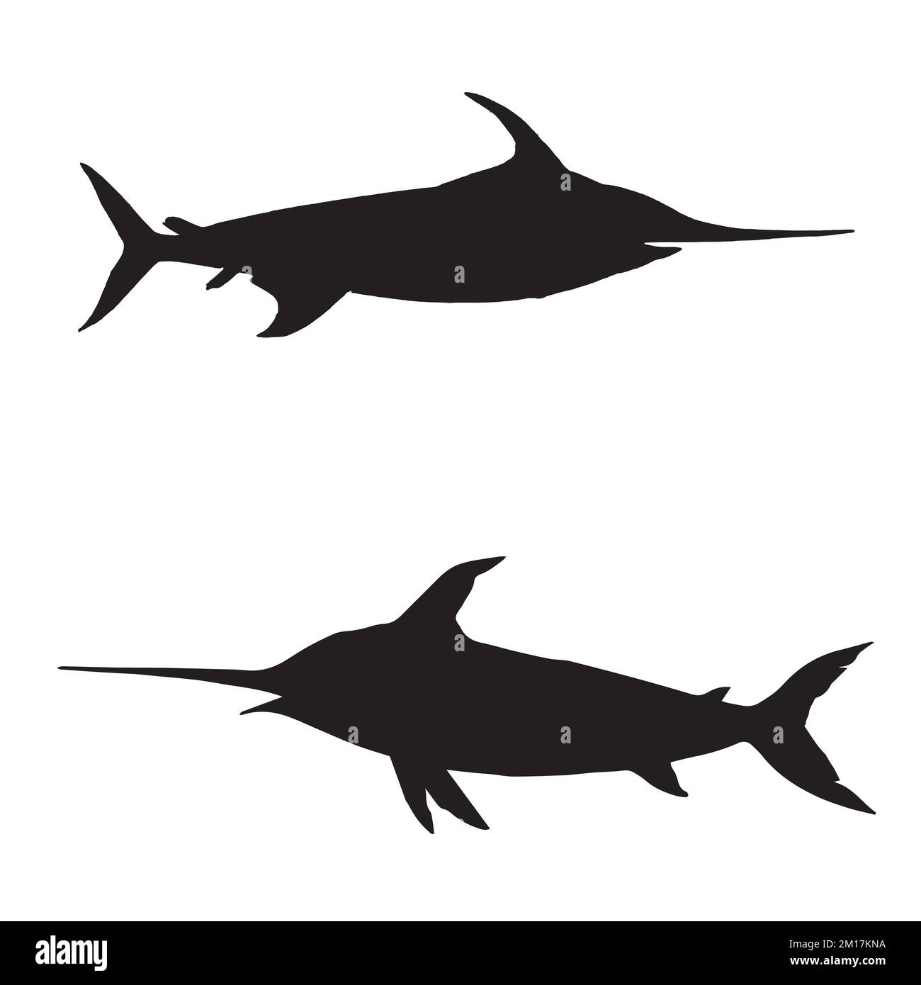 Espadon nage Banque d'images noir et blanc - Alamy