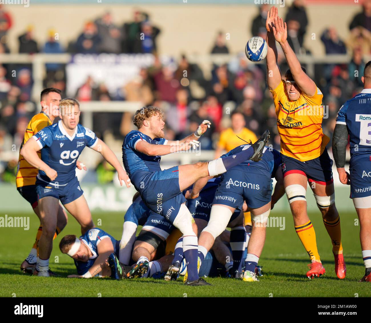 Gus Warr #9 de sale Sharks met un coup de pied pendant le match de la ...