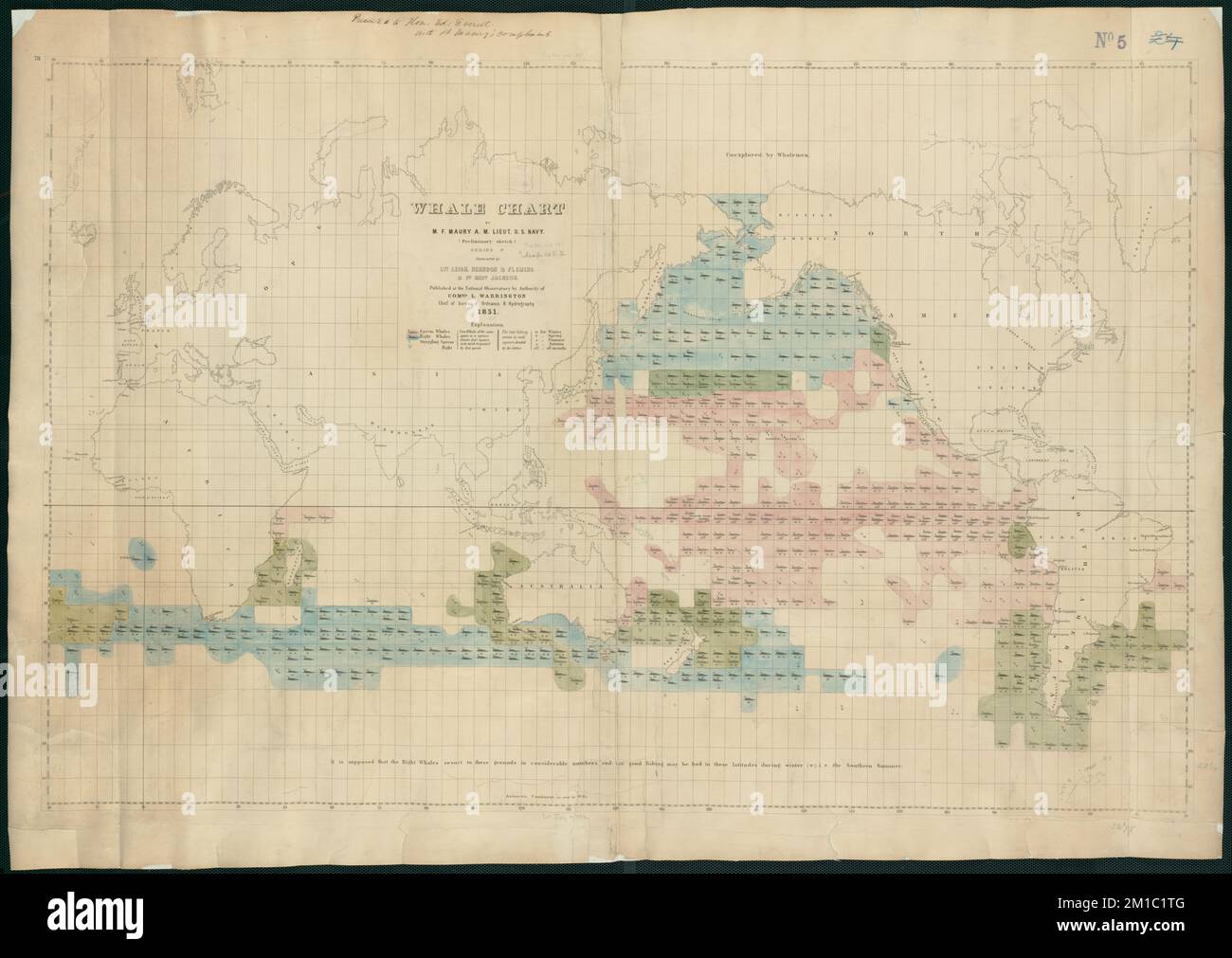Carte des baleines , baleines, cartes, baleines, cartes Norman B ...