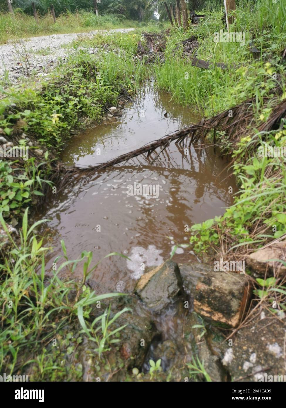 surface de la ligne de mousse brunâtre blanche sur la rivière de ...