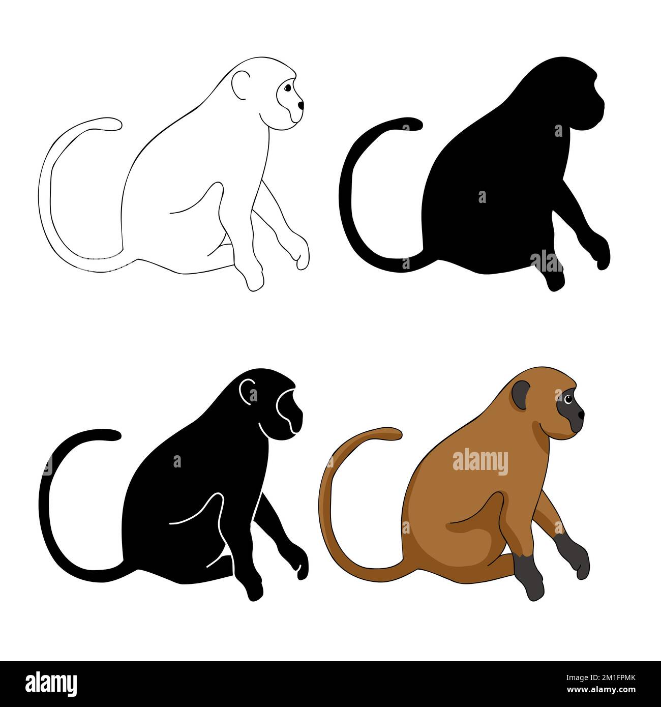 Contour de silhouette de singe plat. Marmoset ou Erythrocebus pata ...