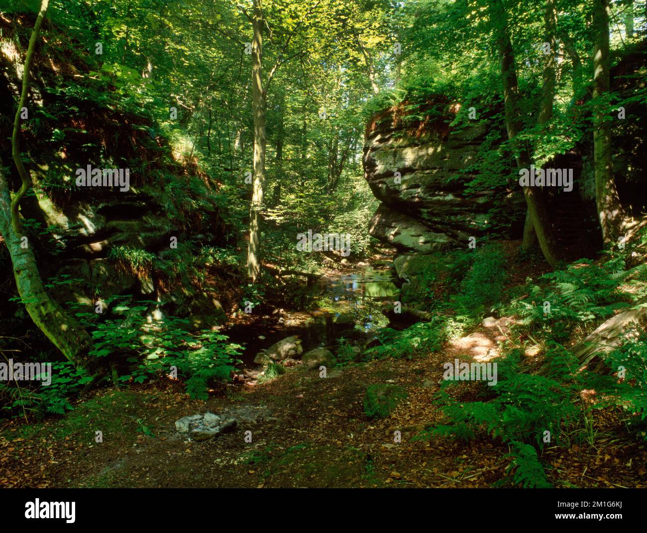 Voir le NNW de Dunino Den Pictush site cérémonial, North East Fife ...