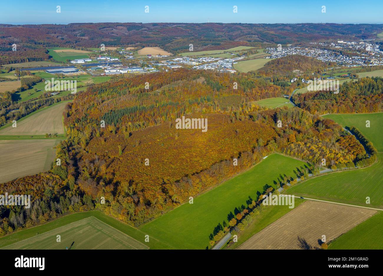 Vue aérienne, zone forestière aux couleurs automnales au parc ...