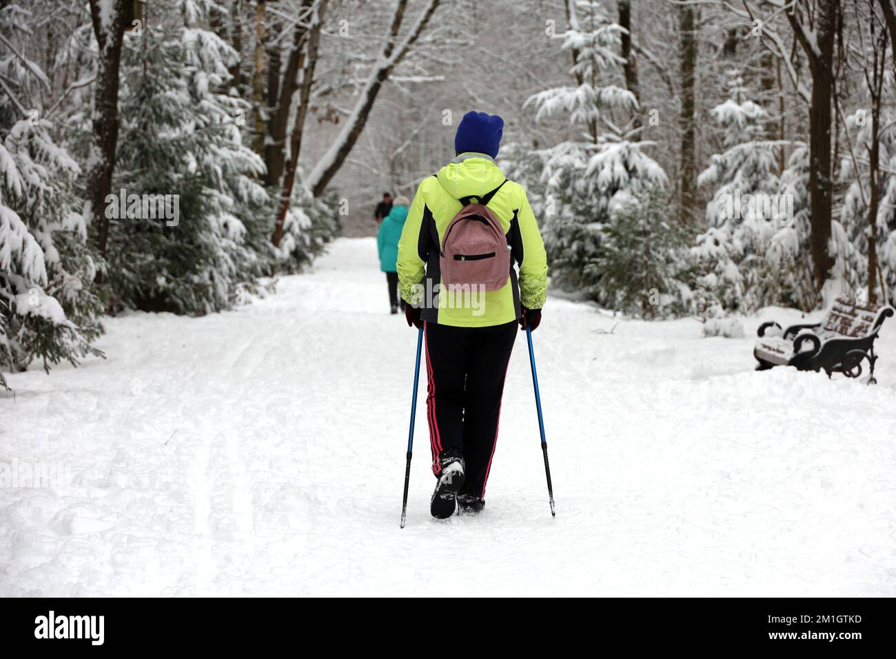 Marche nordique par temps froid, mode de vie sain. Femme avec des ...