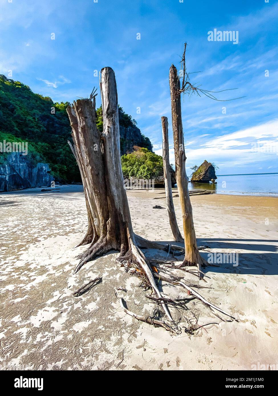 Yong ling Banque de photographies et d’images à haute résolution - Alamy