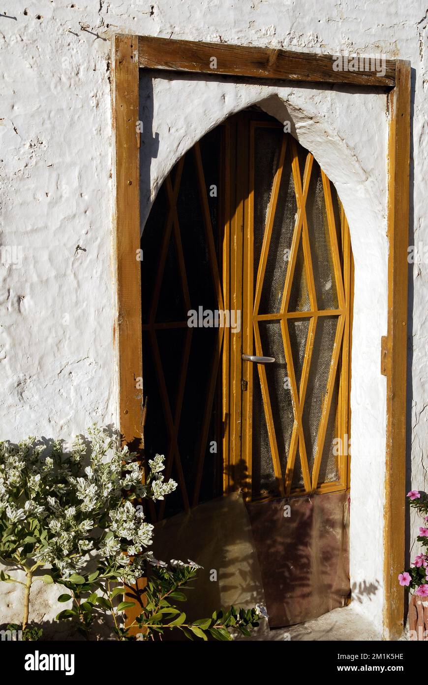 Apollona rhodes Banque de photographies et d’images à haute résolution ...