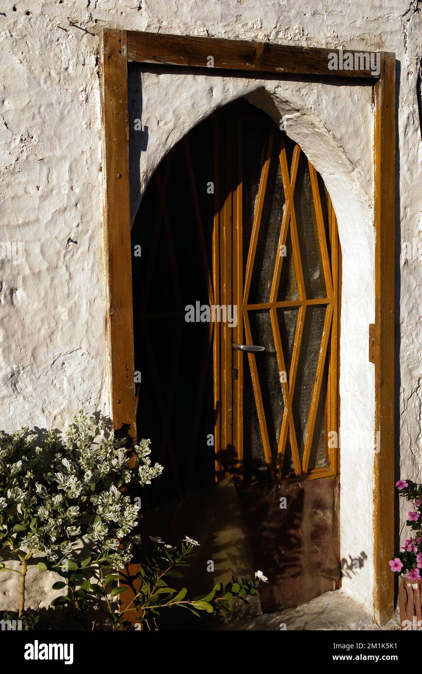 Apollona rhodes Banque de photographies et d’images à haute résolution ...