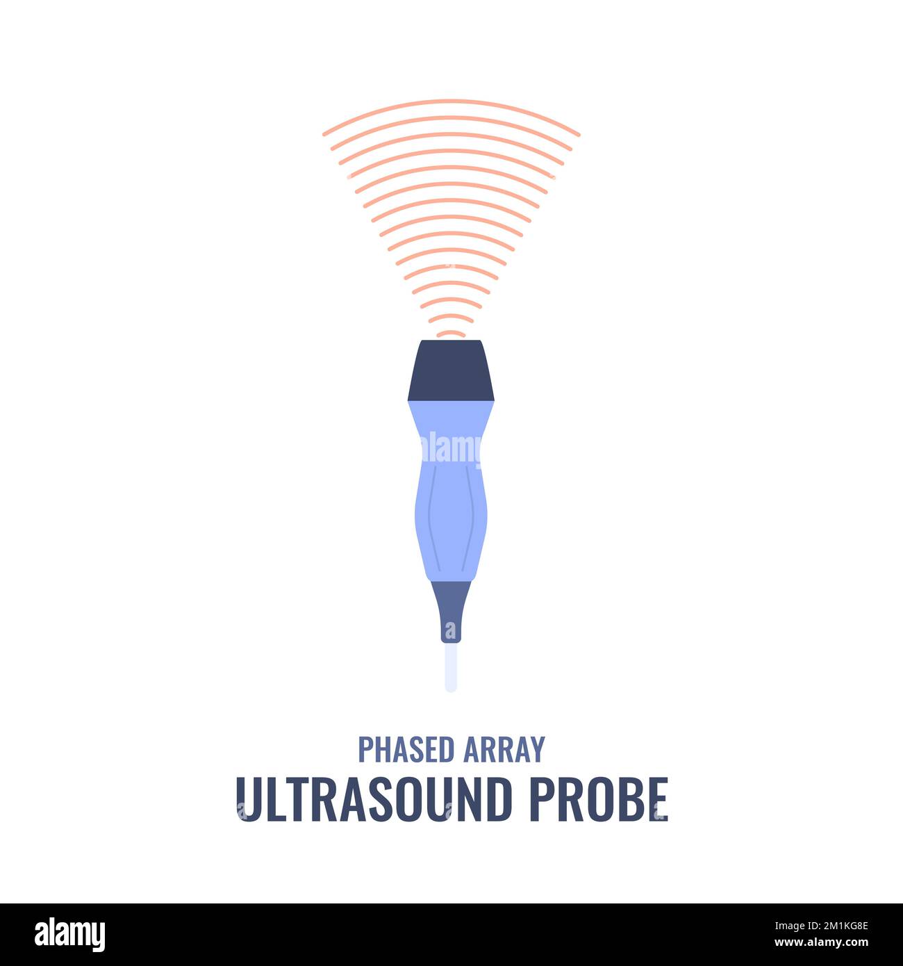 Schéma d'échographie du transducteur à sonde à ultrasons en réseau ...