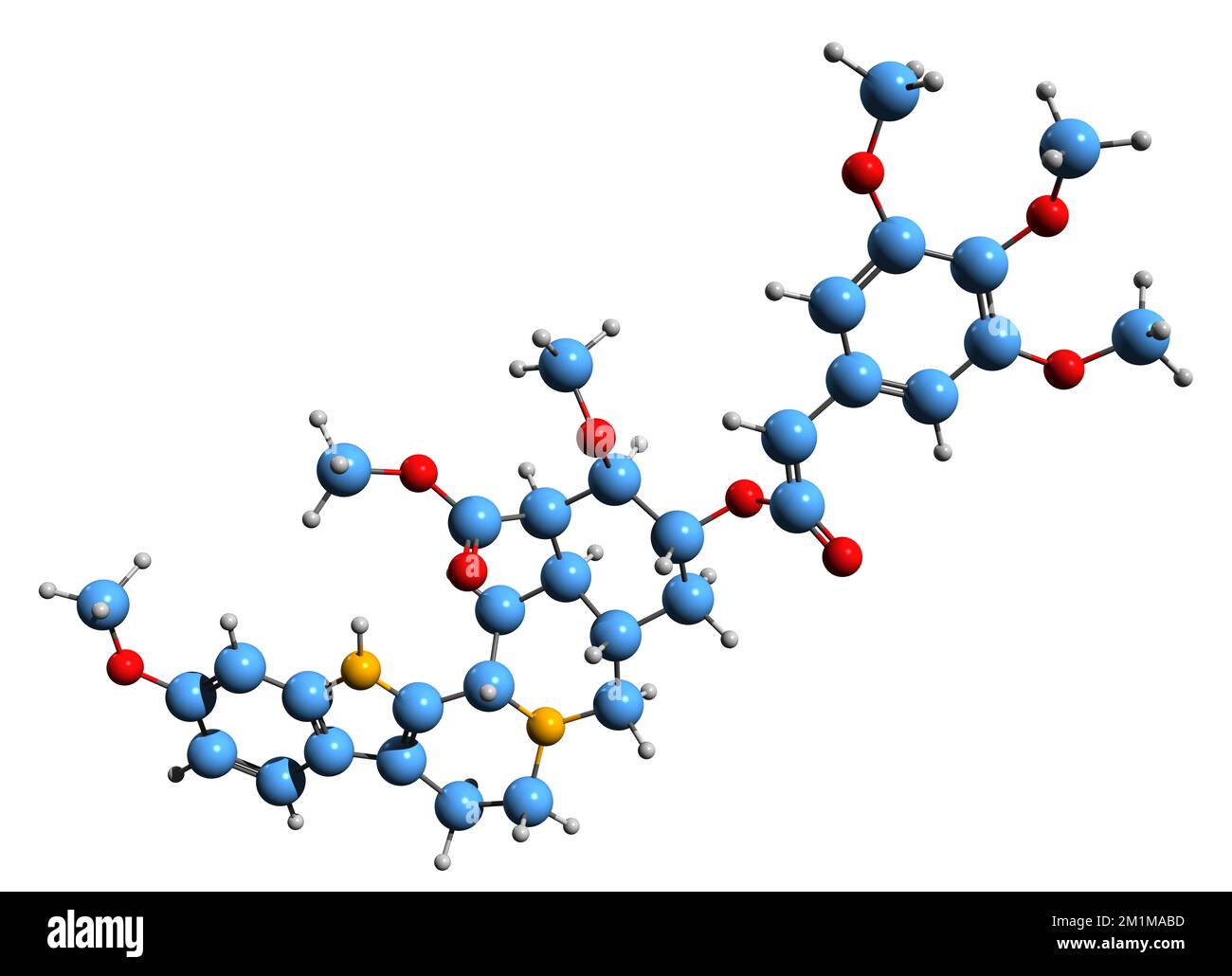 Système rénine angiotensine Banque d'images détourées - Alamy