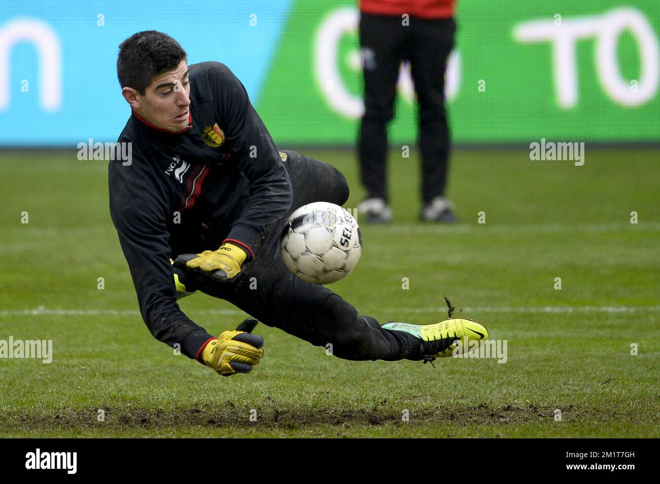20131118 - BRUXELLES, BELGIQUE: Le gardien de but de Belgique Thibaut courtois photographié en ...