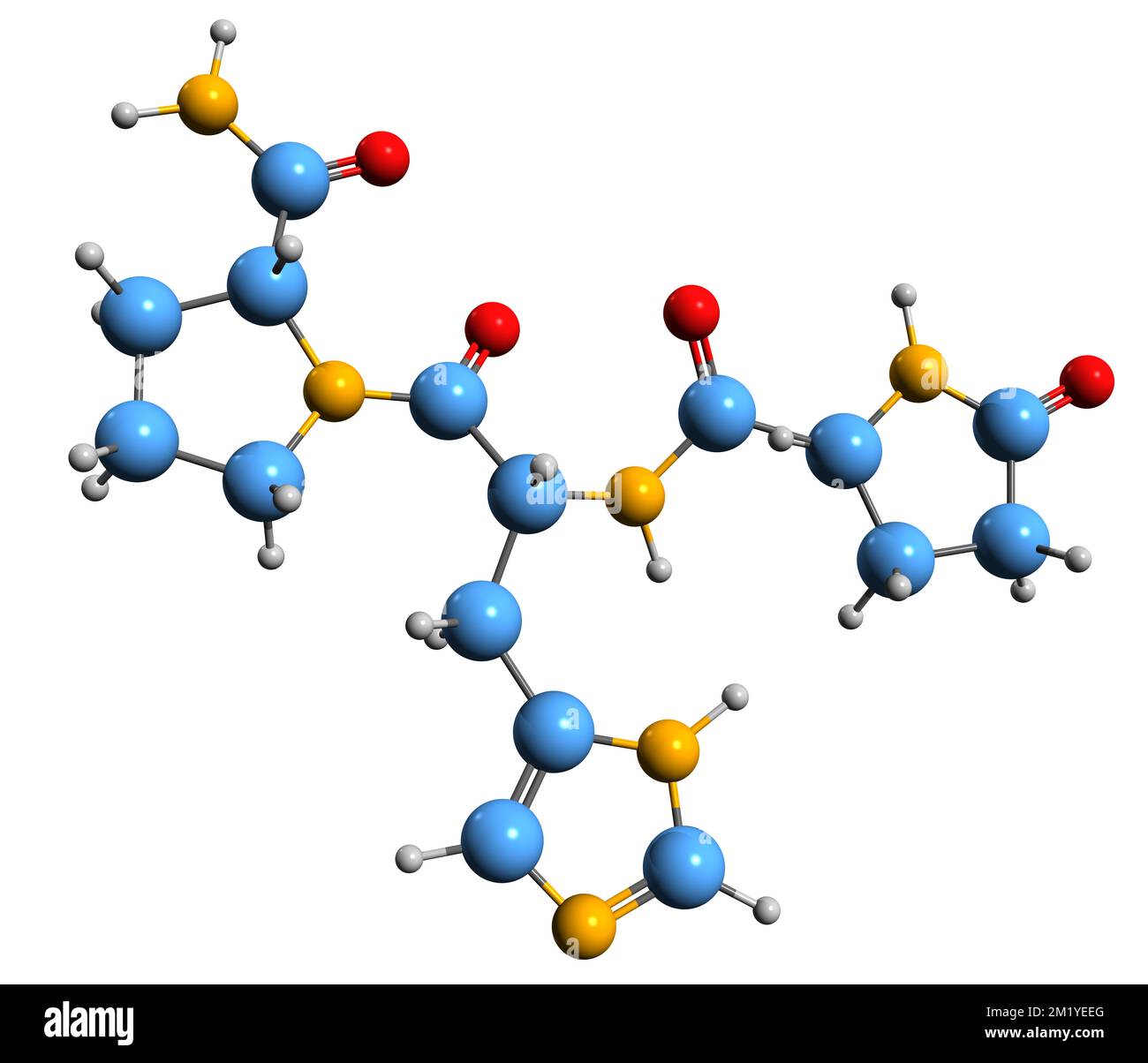3D image de la formule squelettique de l'hormone de libération de la ...