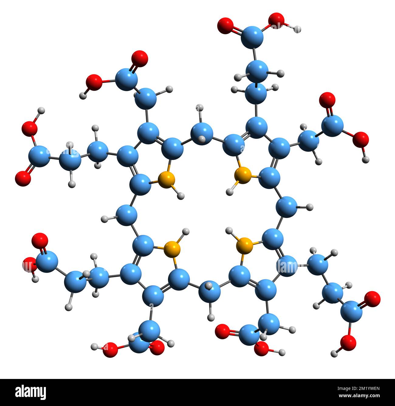 B12 structure 3d formule chimique Banque d'images détourées - Alamy