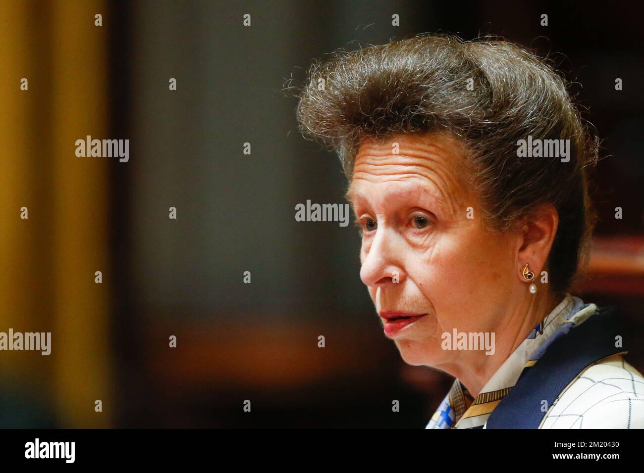 20151012 - BRUXELLES, BELGIQUE : la princesse Anne, princesse Royale ...