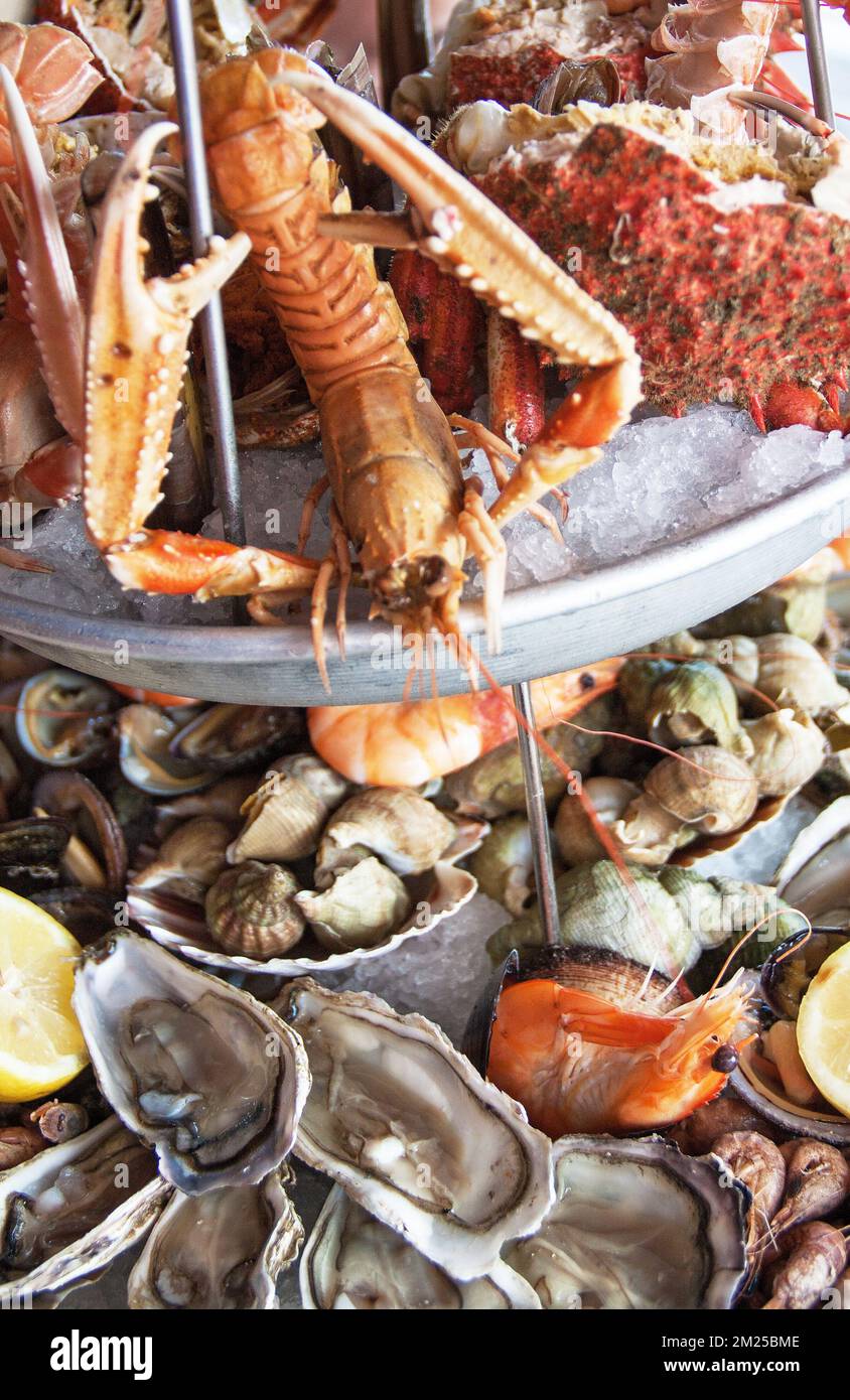 Double plateau de fruits de mer comprenant huîtres créses, langoustines ...